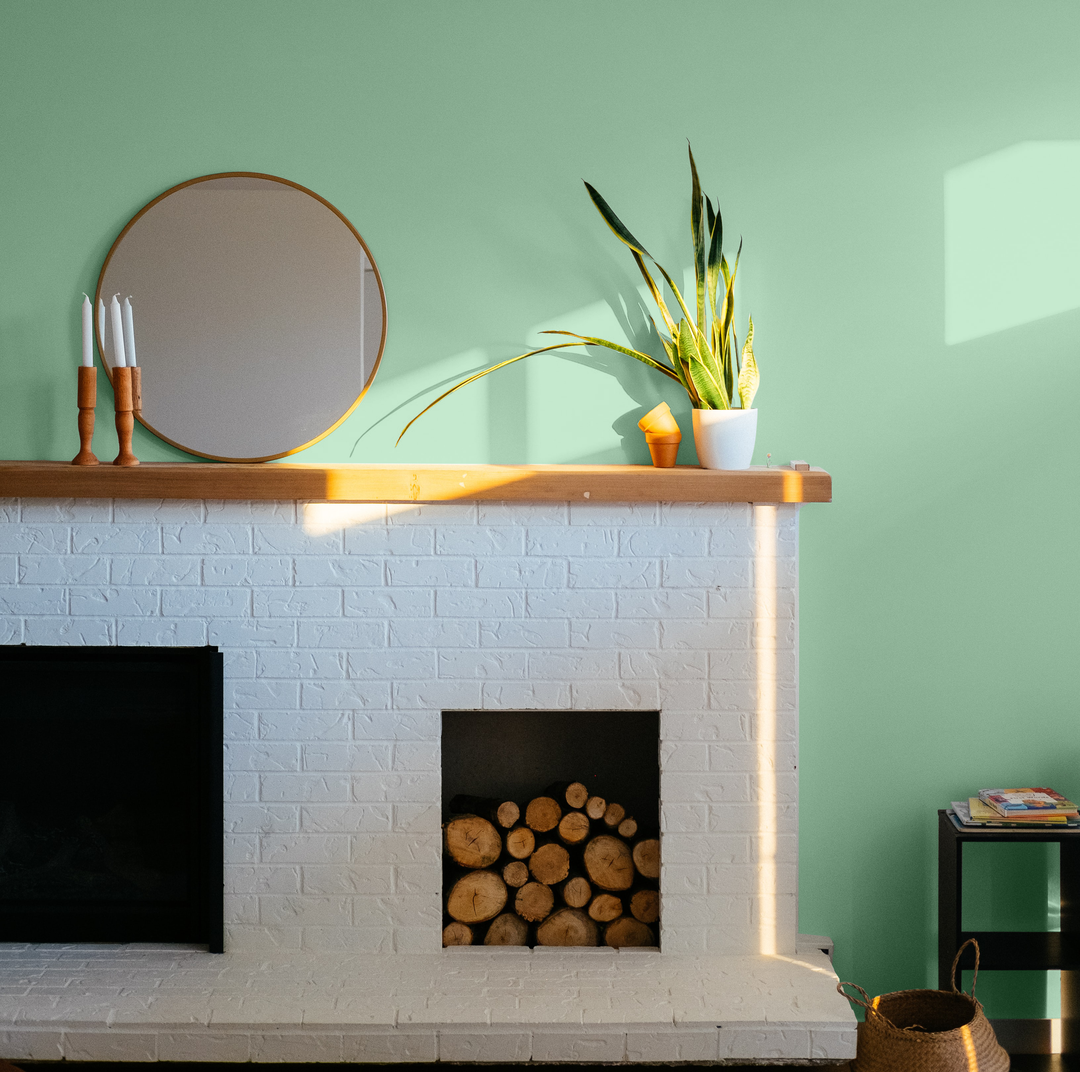 YesColours | Calming Green Matt Emulsion Paint | Eco Paint by YesColours