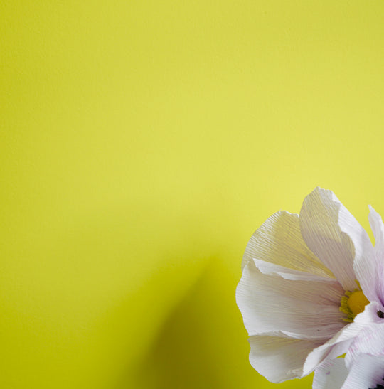 YesColours | Electric Yellow Matt Emulsion Paint | Eco Paint by YesColours