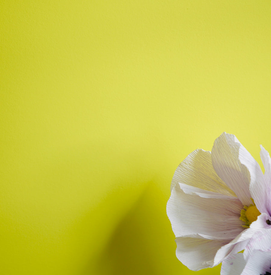 YesColours | Electric Yellow matt emulsion paint