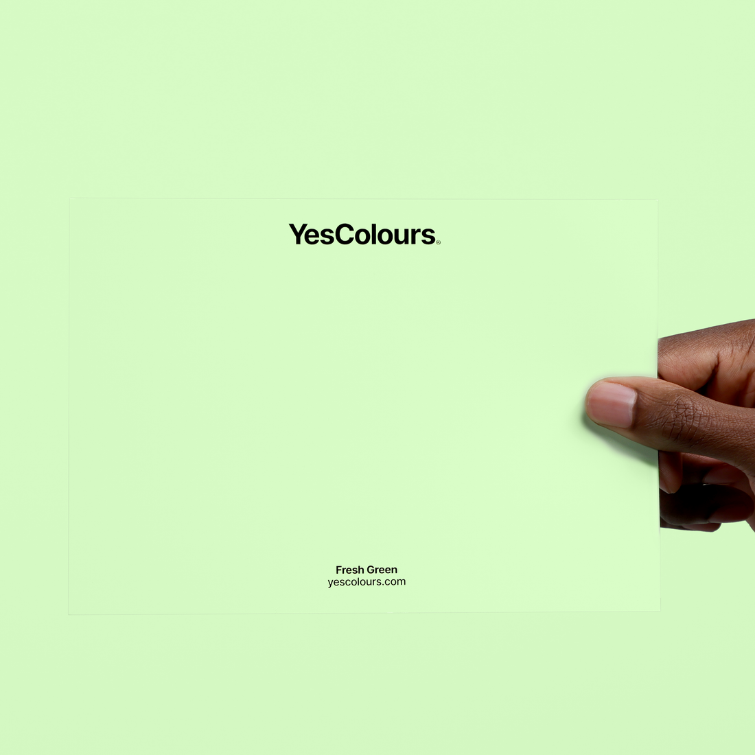 YesColours | Fresh Green paint swatch