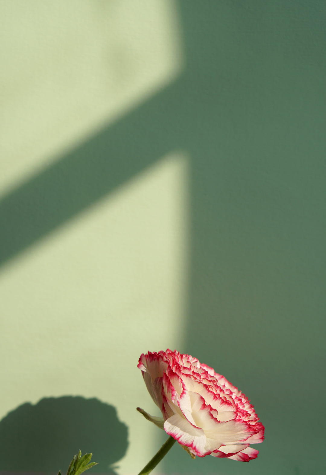 YesColours | Fresh Green paint swatch