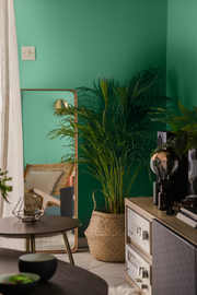 YesColours | Mellow Teal Matt Emulsion Paint | Eco Paint by YesColours