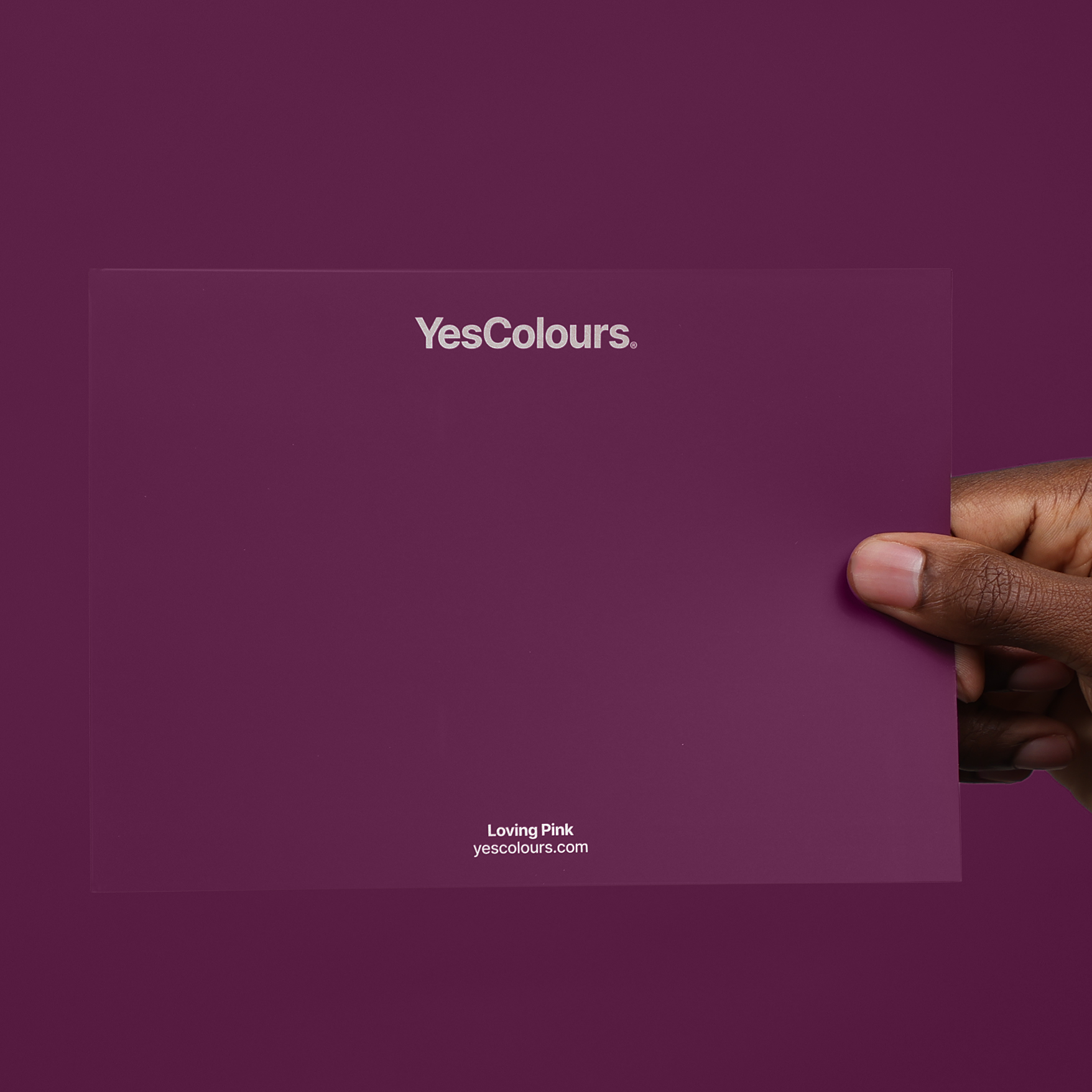 YesColours | Loving Pink paint swatch