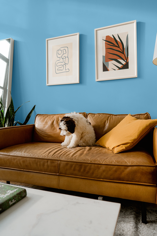 YesColours | Mellow Blue Matt Emulsion Paint | Eco Paint by YesColours