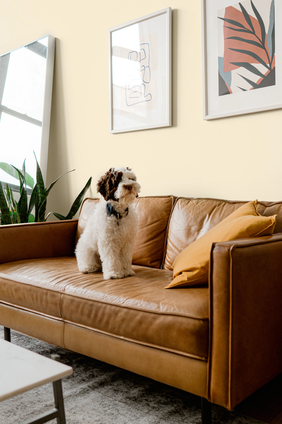 YesColours | Mellow Neutral matt emulsion paint