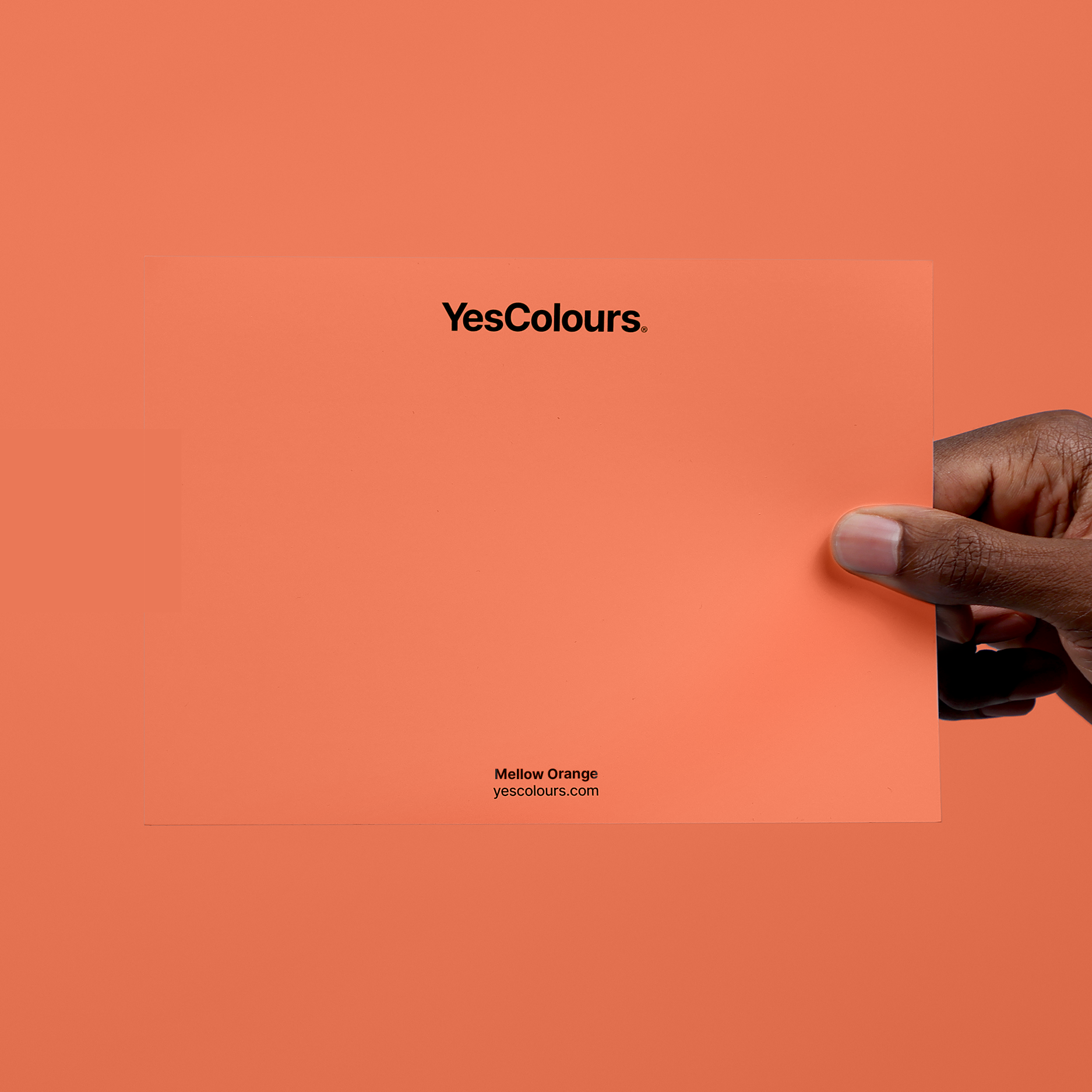 YesColours | Mellow Orange paint swatch