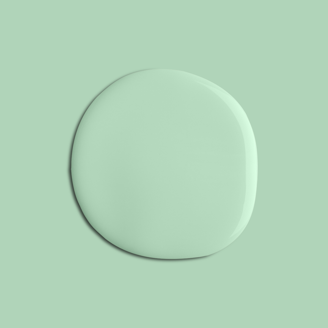 YesColours | Calming Green Matt Emulsion Paint | Eco Paint by YesColours