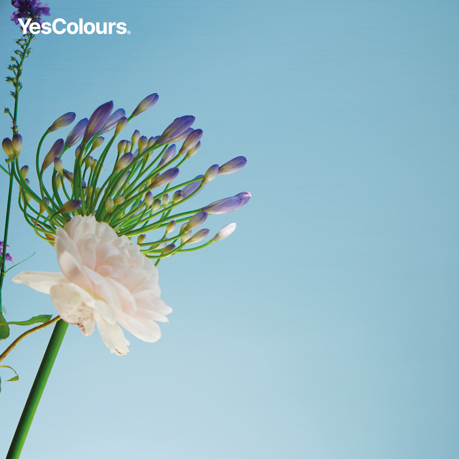YesColours | Friendly Blue Matt Emulsion Paint | Eco Paint by YesColours