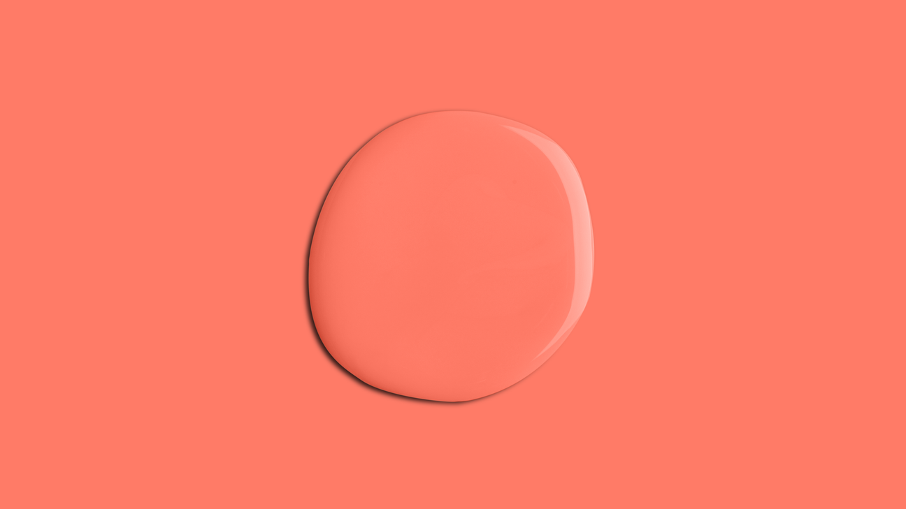 YesColours | Joyful Orange Matt Emulsion Interior Wall Paint | YesColours