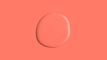 YesColours | Joyful Orange Matt Emulsion Paint | Eco Paint by YesColours
