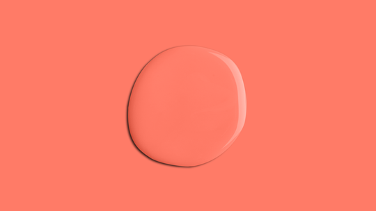 YesColours | Joyful Orange Matt Emulsion Paint | Eco Paint by YesColours