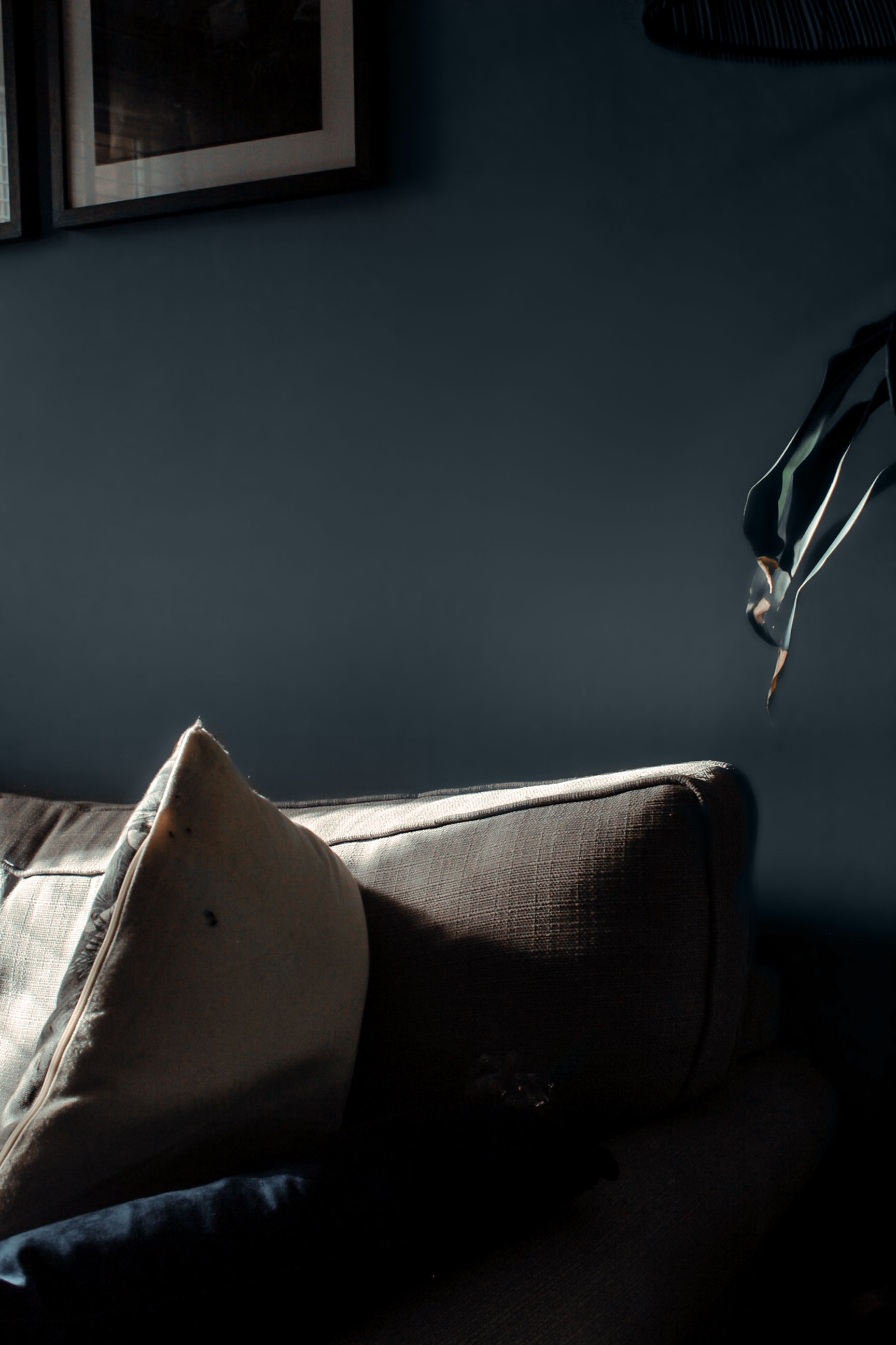 YesColours | Loving Grey Matt Emulsion Interior Wall Paint | YesColours