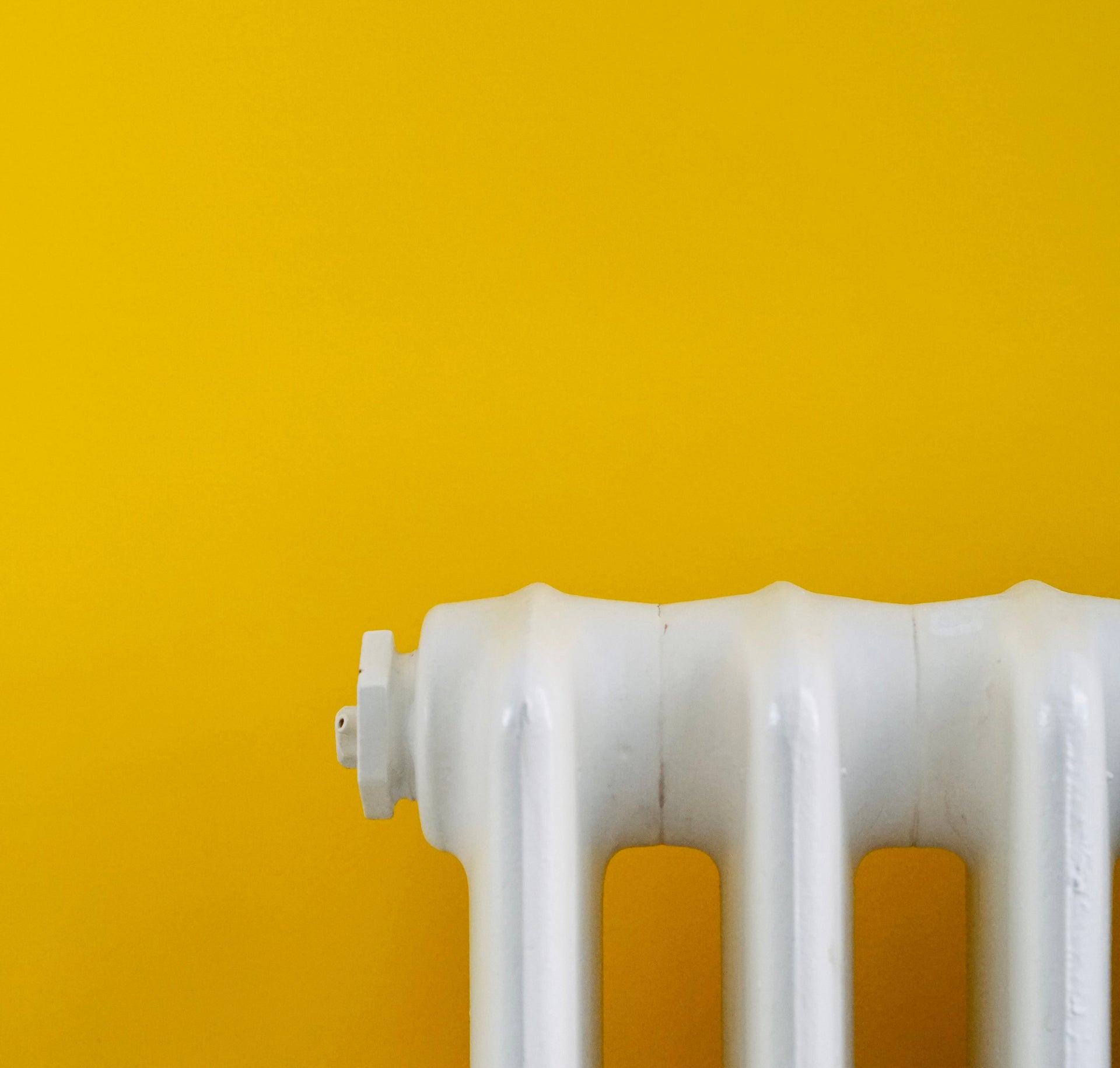 YesColours | Passionate Yellow Matt Emulsion Paint | Eco Paint by ...